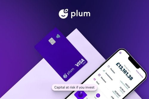 Plum review - Money Saving Answers